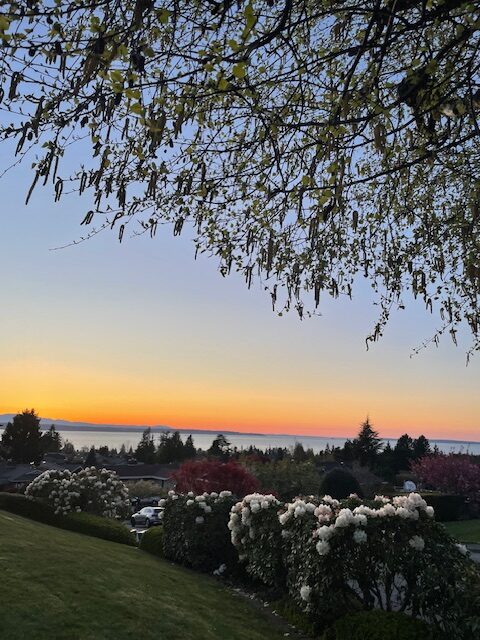 Scene in Edmonds: Around town Friday - My Edmonds News