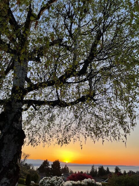 Scene in Edmonds: Around town Thursday - My Edmonds News