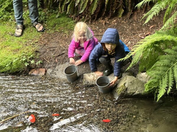 Future stewards lend a hand to baby salmon - My Edmonds News