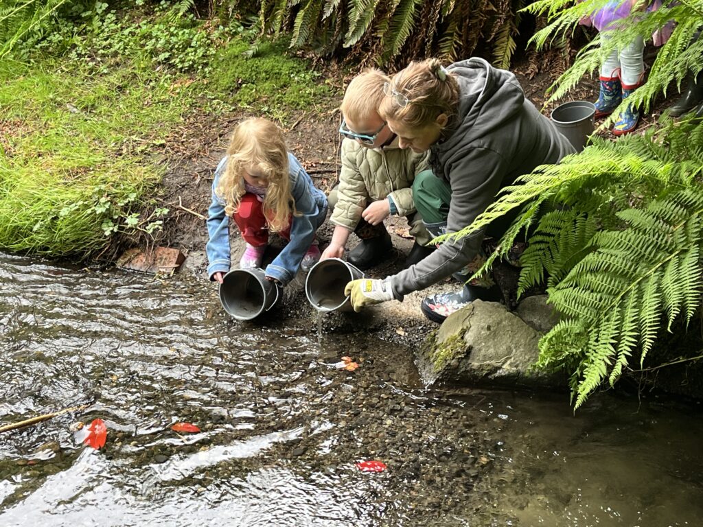 Future stewards lend a hand to baby salmon - My Edmonds News
