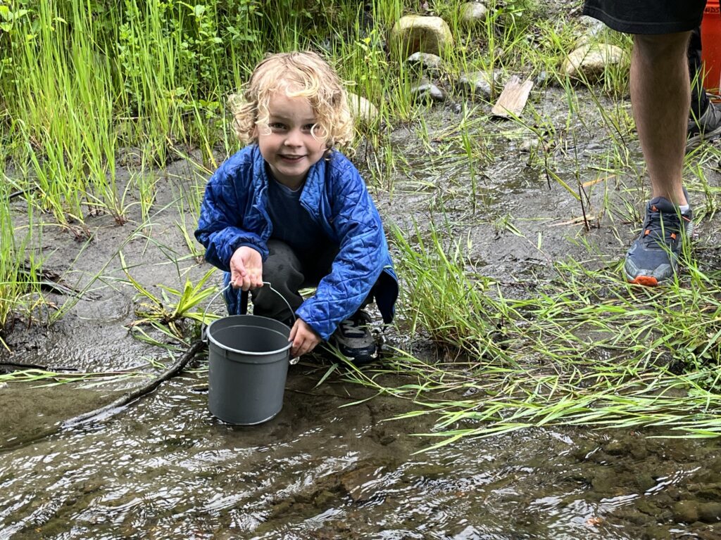 Future stewards lend a hand to baby salmon - My Edmonds News