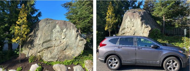 Off The Beaten Path: The natural curiosities of Edmonds - My Edmonds News