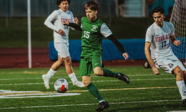 Home - My Edmonds News