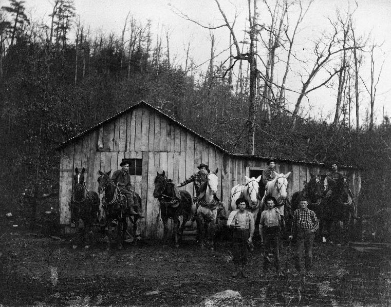 In Days Gone By: Life in the late 1800s logging camps - My Edmonds News