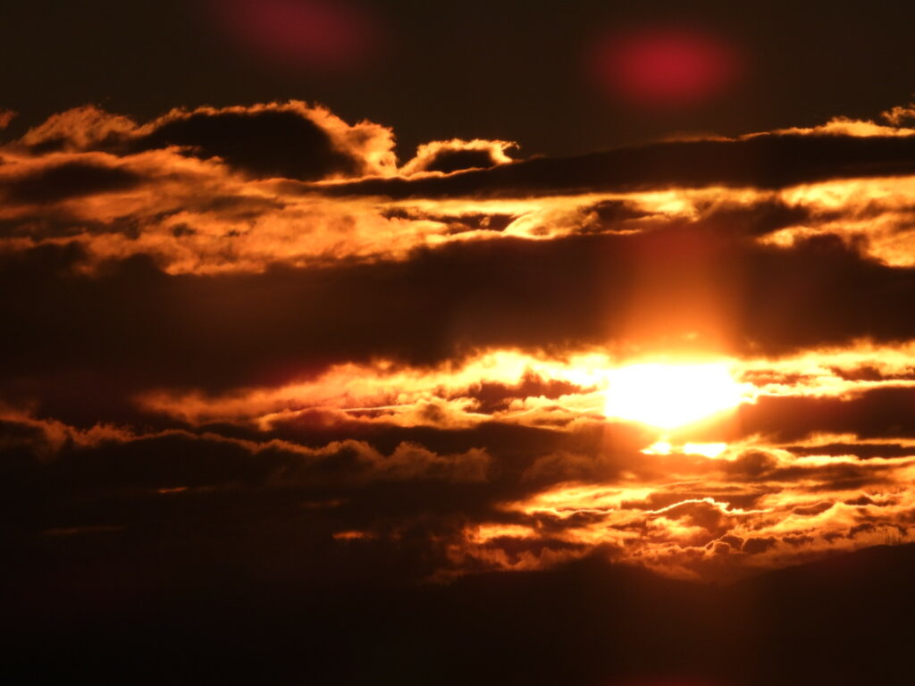 Scene in Edmonds: Around town Sunday - My Edmonds News