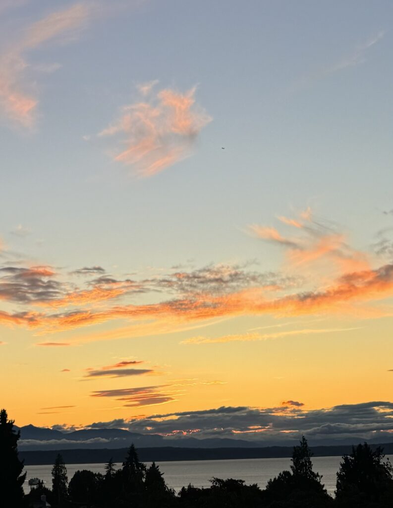 Scene in Edmonds: Around town Sunday - My Edmonds News