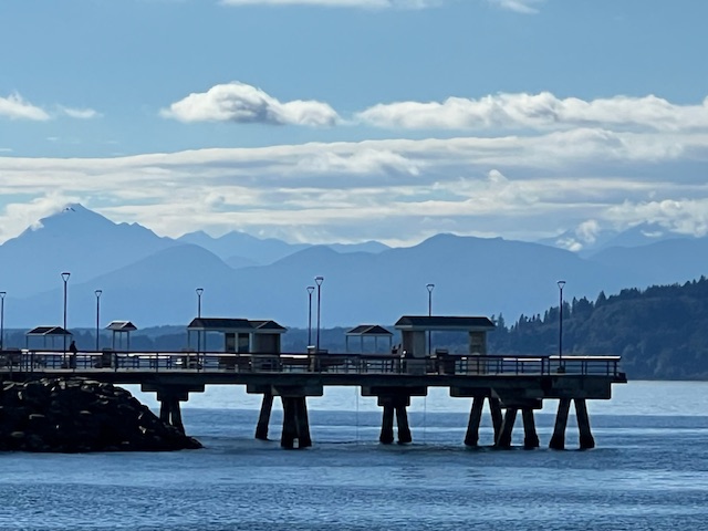 Annual fall Edmonds Fishing Pier clean-up event Oct. 27 - My Edmonds News