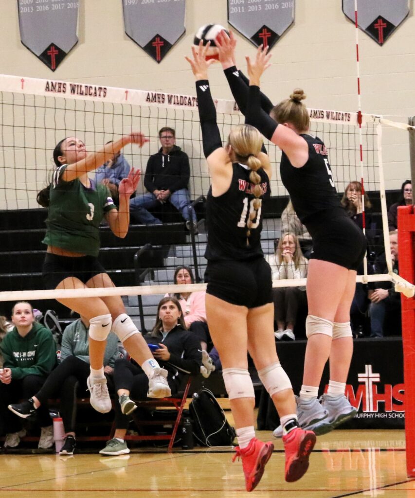 Girls Volleyball - My Edmonds News