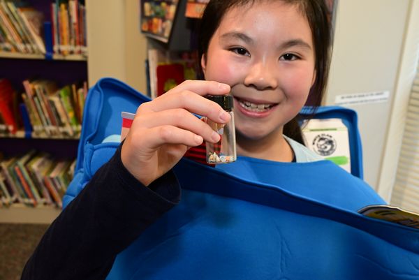 Students teach students at Hazelwood Elementary orca recovery event ...