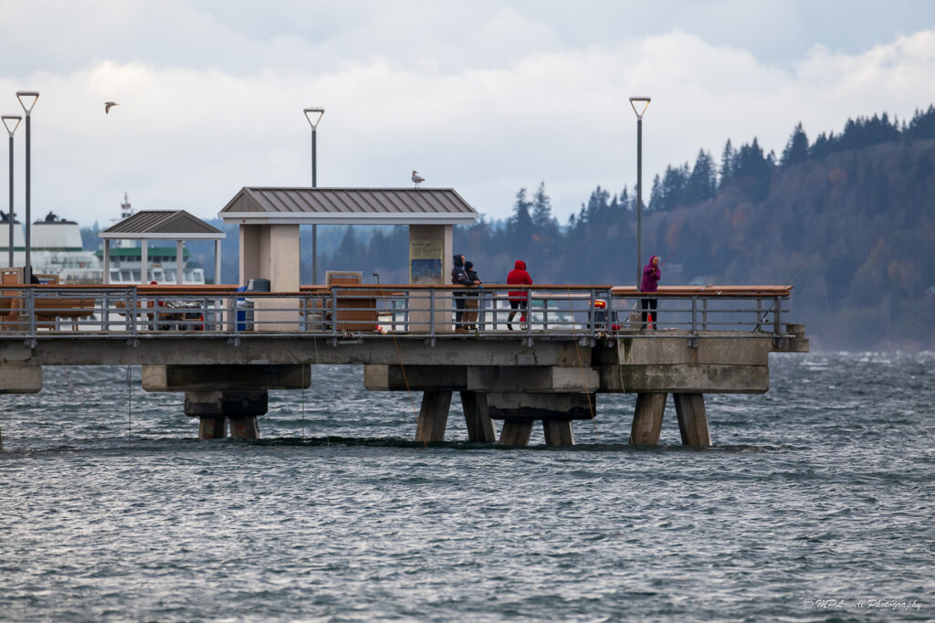 Cold and windy day fishing off the Edmonds Pier, Edmonds WA - My ...