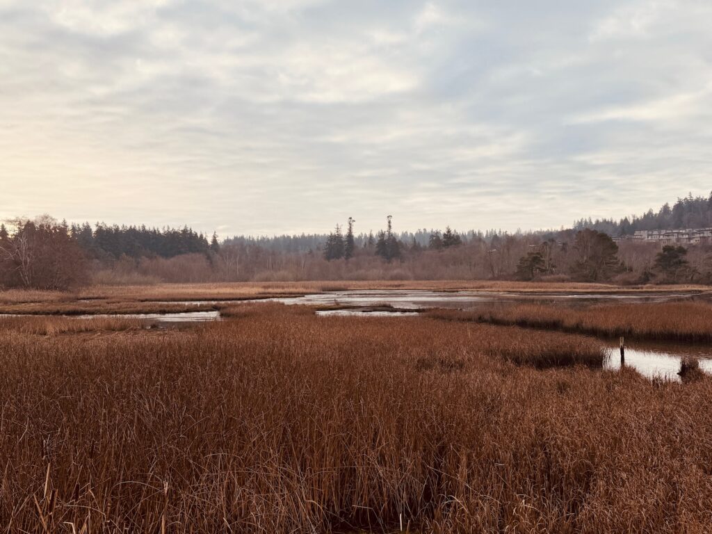 City invites public to learn about Edmonds Marsh Planning Study March ...