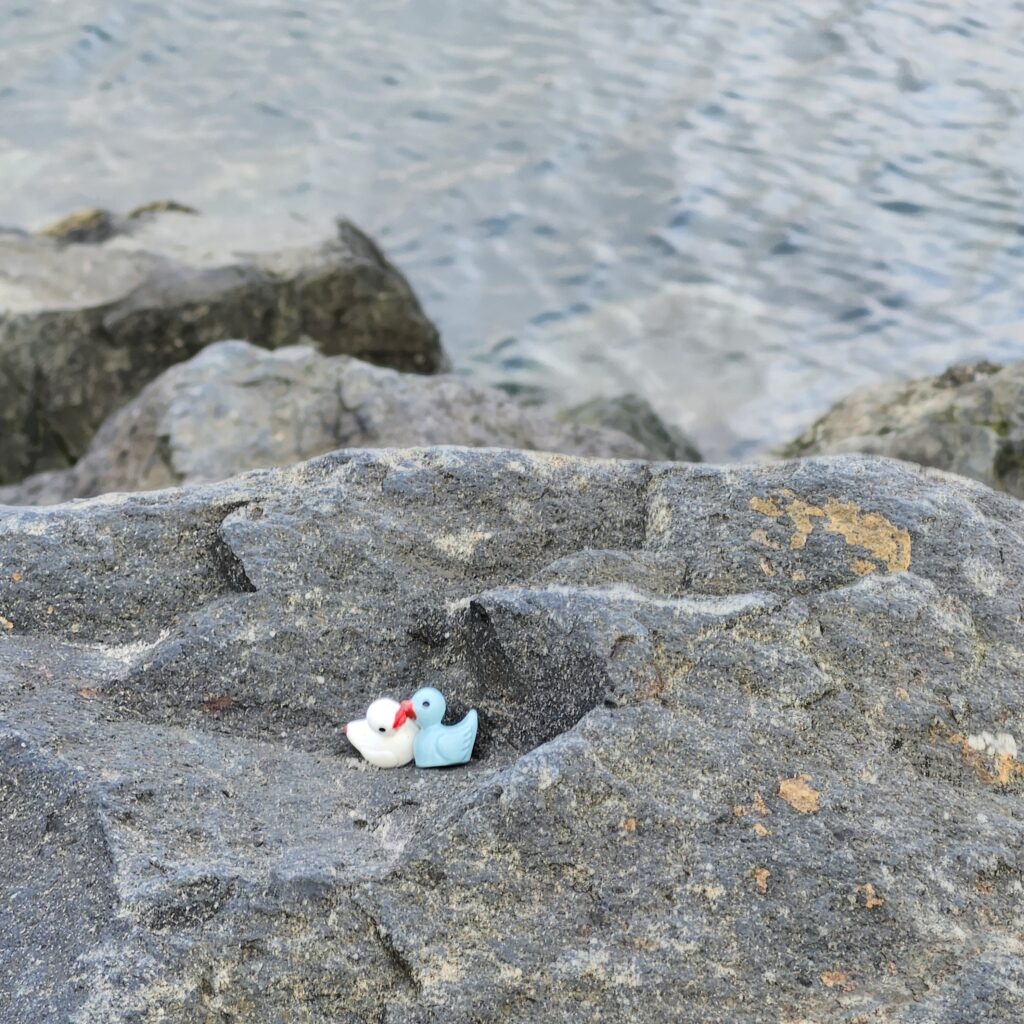 Scene in Edmonds: Around town Thursday - My Edmonds News