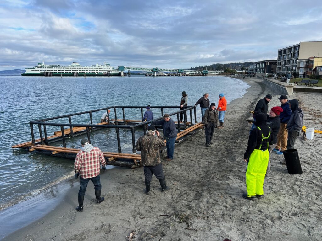 Scene in Edmonds: Building a net pen for salmon - My Edmonds News
