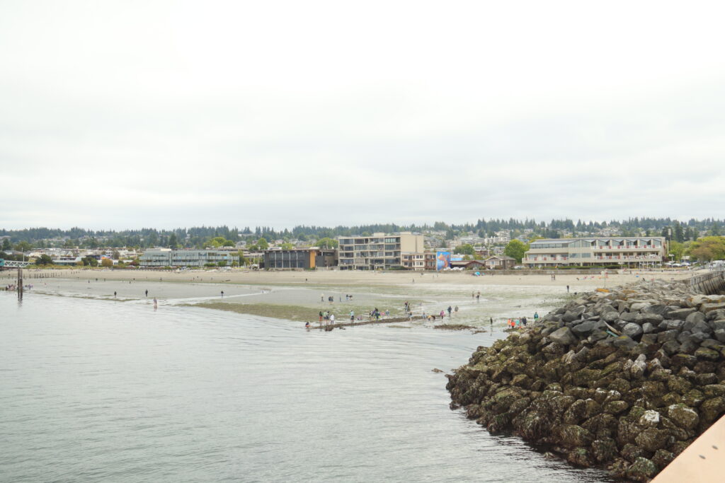 Visitors explore Edmonds waterfront during the lowest tide of the year ...