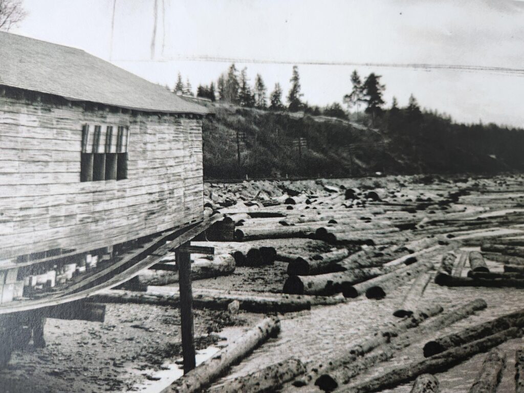 In Days Gone By: Edmonds’ worst winter - My Edmonds News