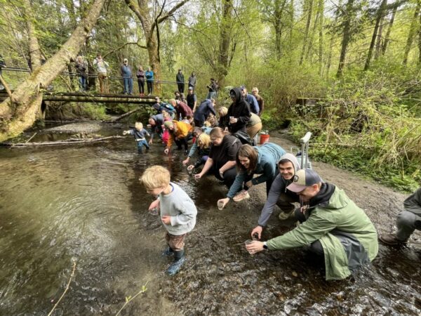 Everyone-carefully-placed-the-coho-babies-in-Shell-Creek-in-Yost-Park ...