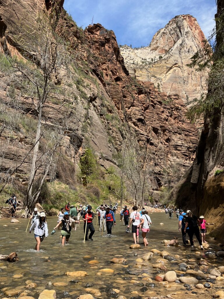 IMG_7133 - My Edmonds News