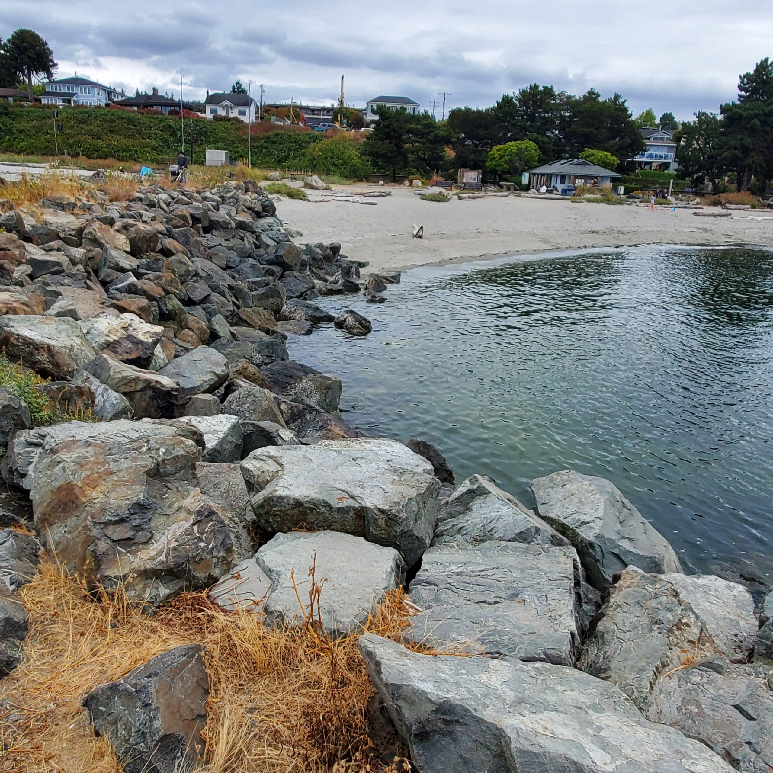 Scene in Edmonds: Around town - My Edmonds News