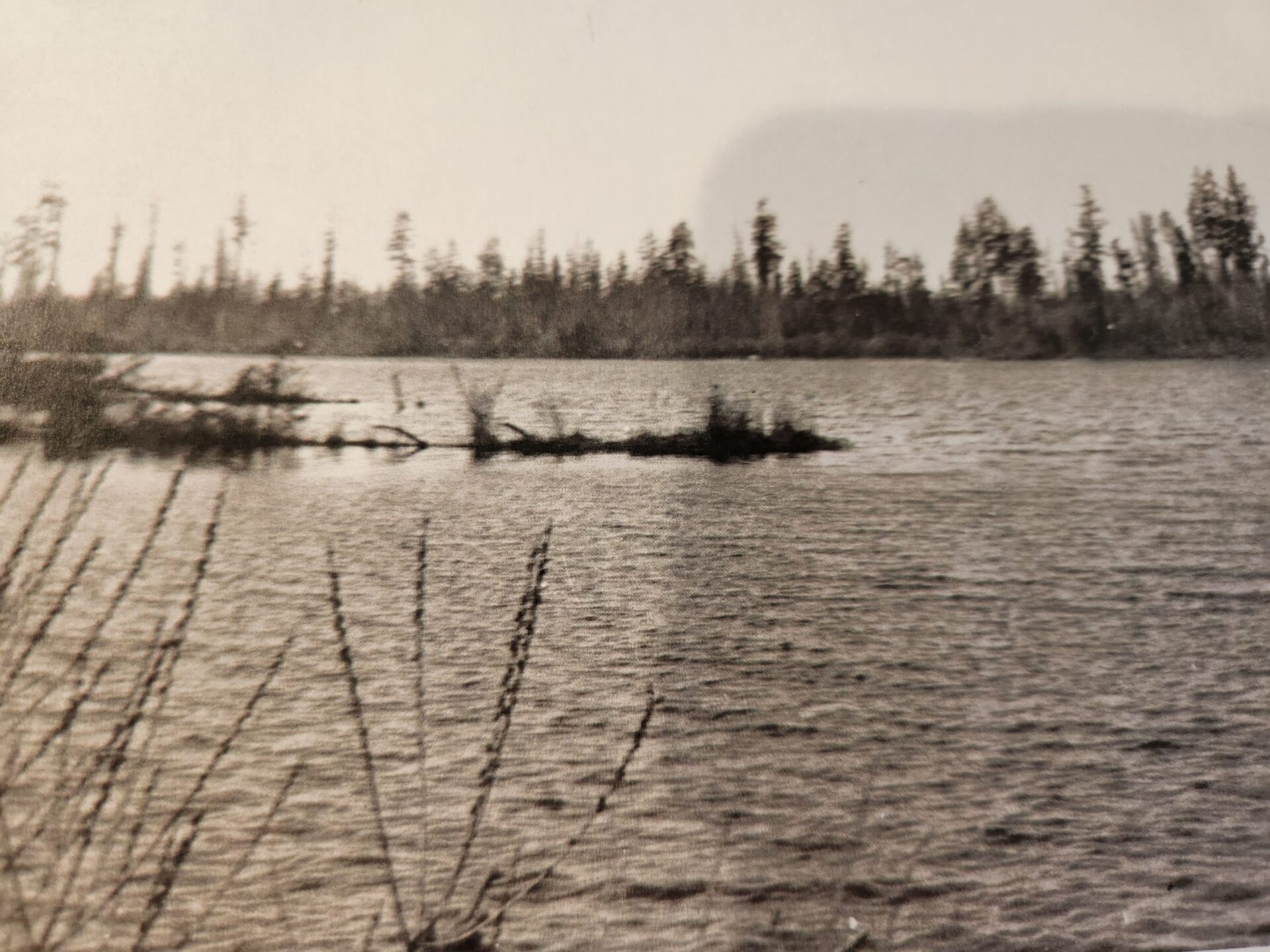 In Days Gone By: Tragedy strikes over and over. The story of the ...