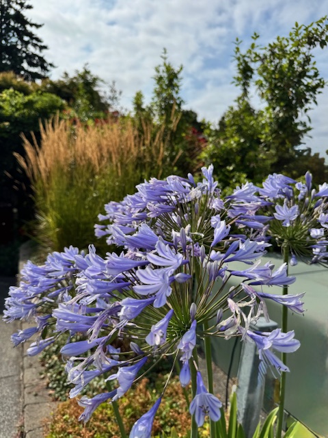 Scene in Edmonds: Around town - My Edmonds News