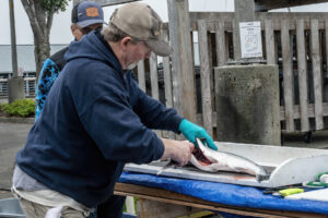 Scene in Edmonds: Coho Derby draws a crowd - My Edmonds News