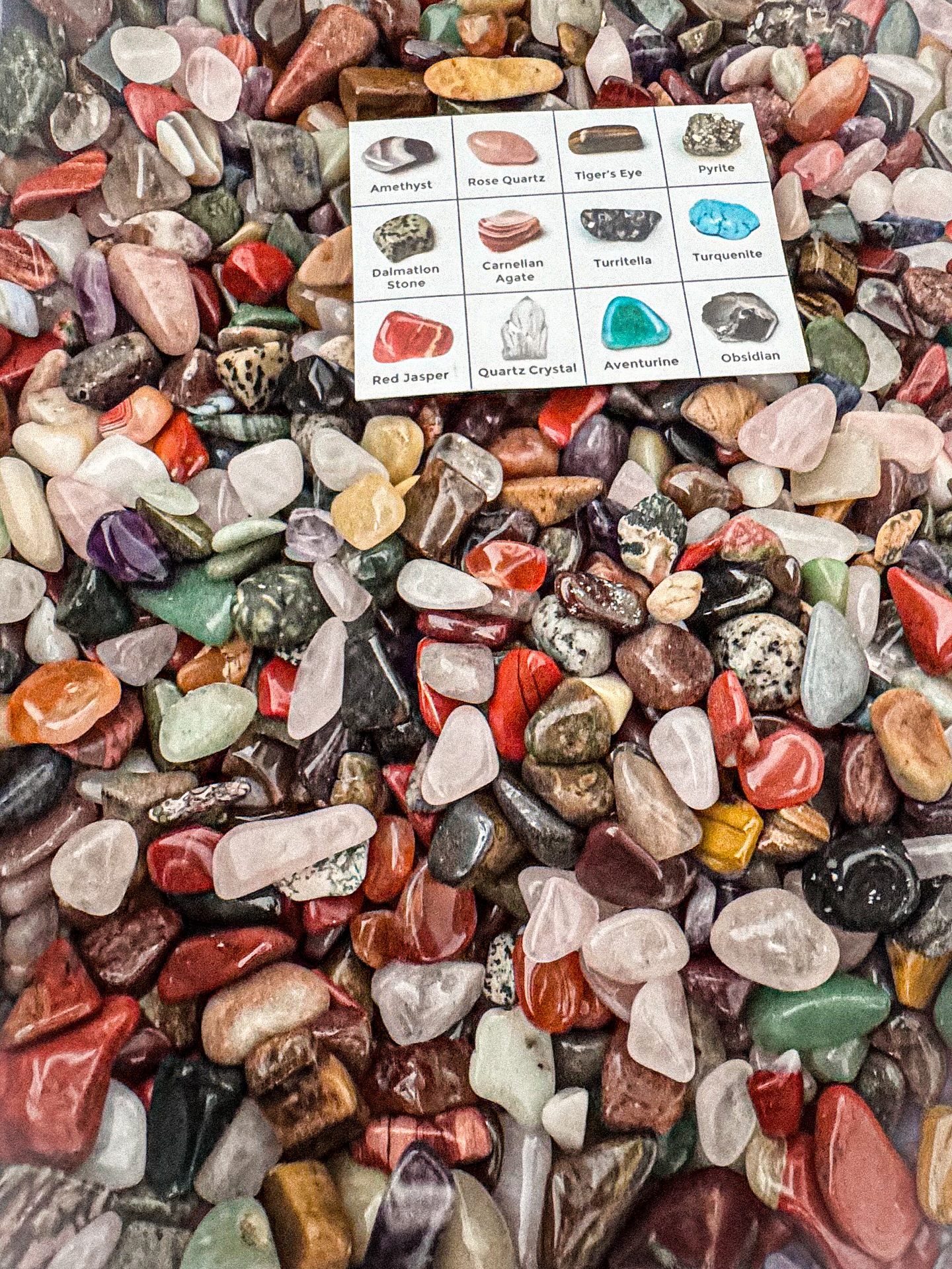 ‘Rock Lady’ opens permanent learning lab for kids in Harbor Square - My ...