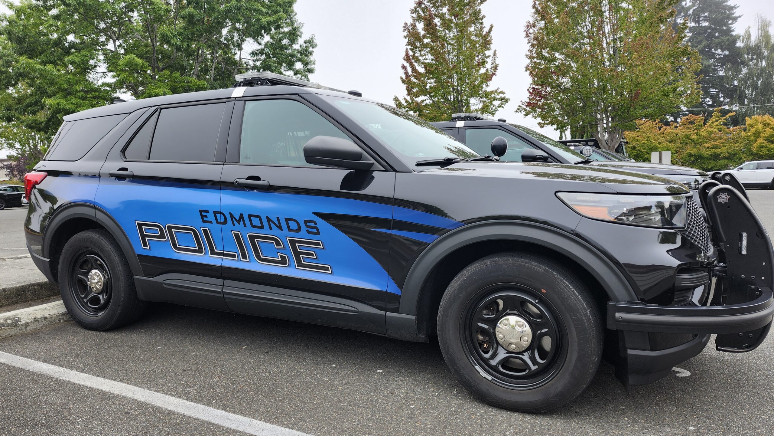 Edmonds Police Blotter: Oct. 29-Nov. 4, 2025 - My Edmonds News