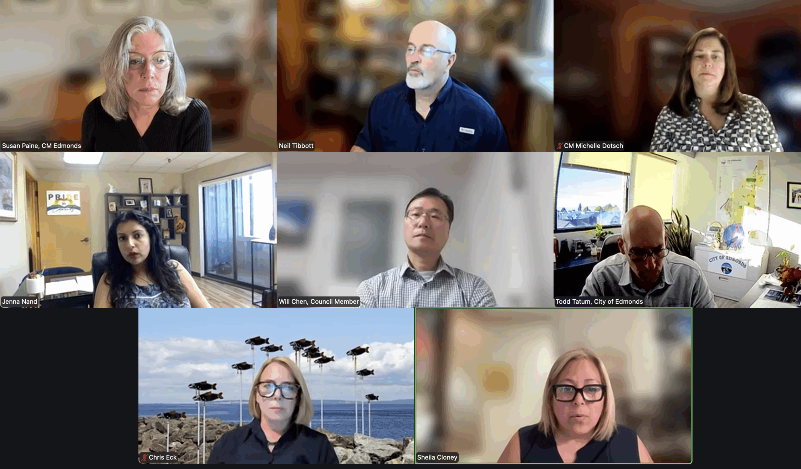 Council committee reviews proposal for ED! work plan; receives briefing ...