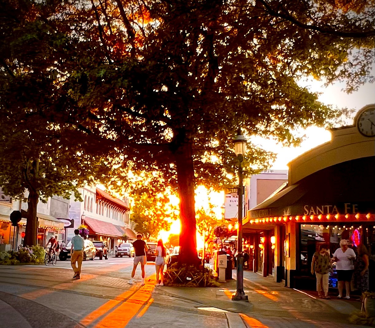 Reader view: I love this city - My Edmonds News