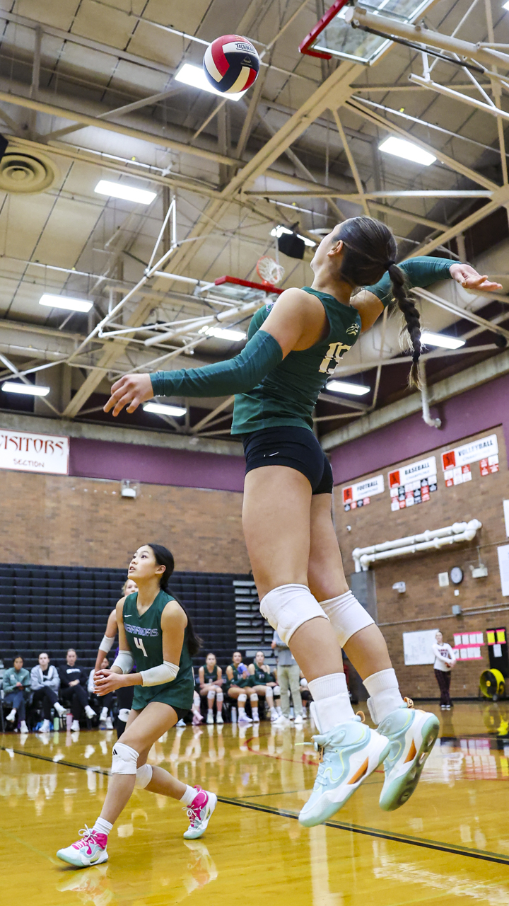 Prep volleyball: Warriors sweep Hawks - Lynnwood Today