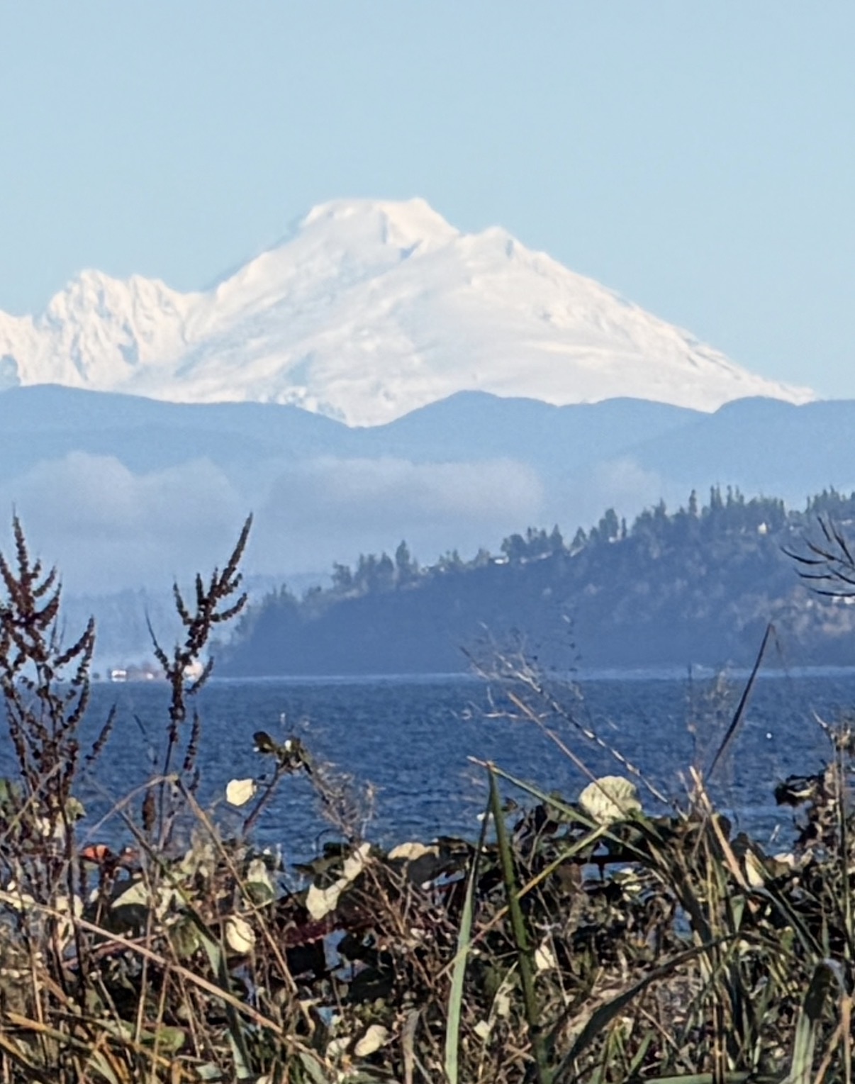 Scene in Edmonds: Around town - My Edmonds News