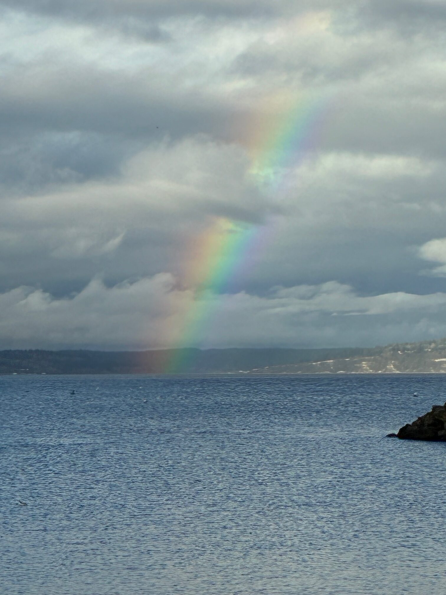 Scene in Edmonds: Around town Sunday - My Edmonds News