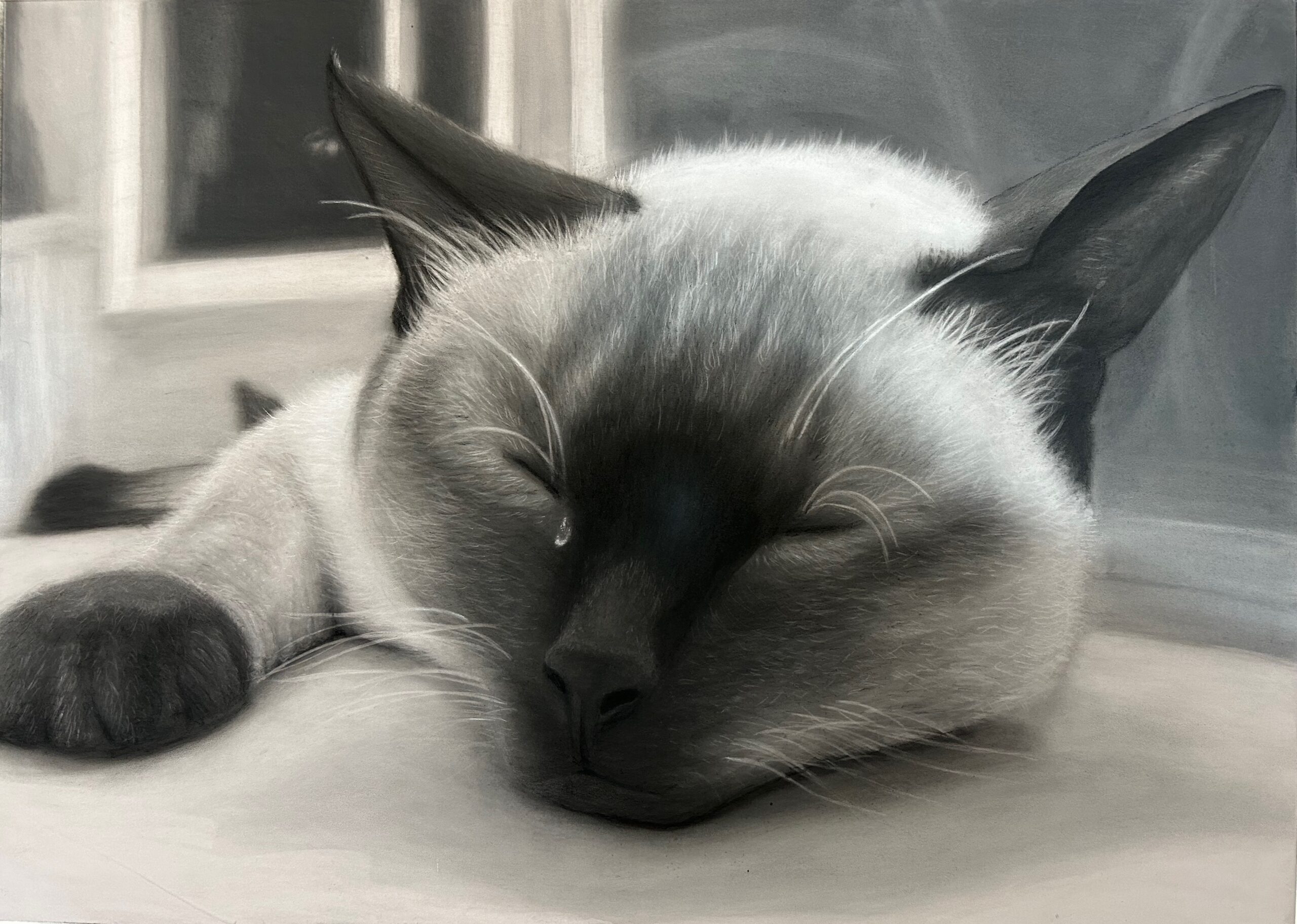 Art Beat: Graphite art and more in January, February - My Edmonds News