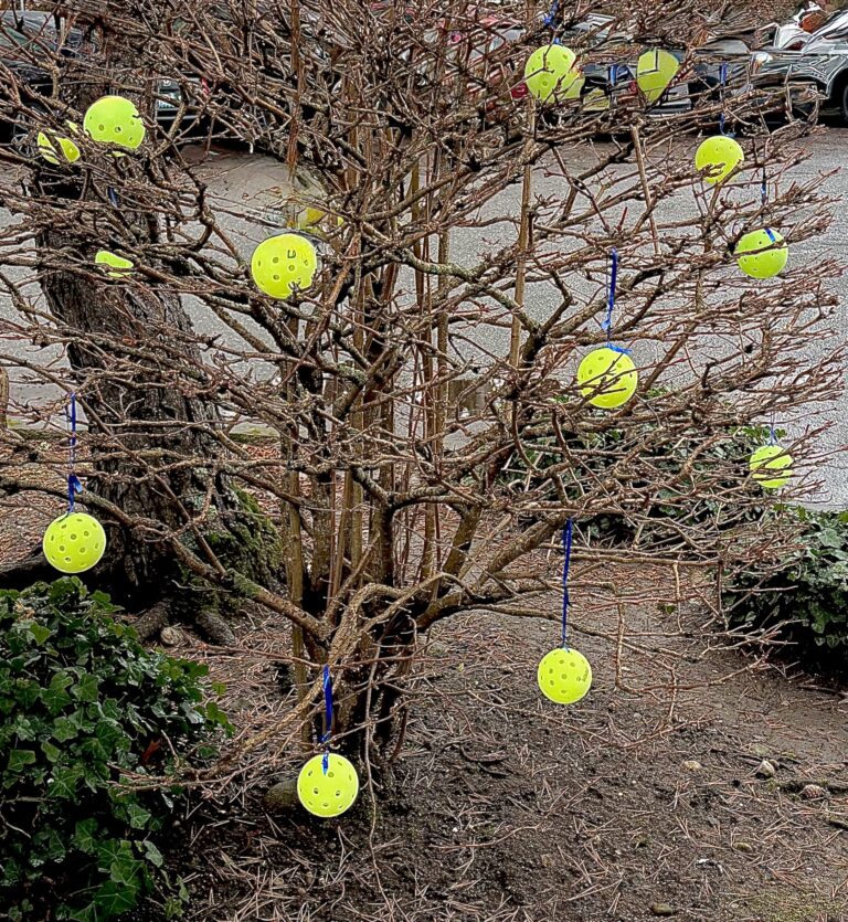 Scene in Edmonds: Around town Friday - My Edmonds News