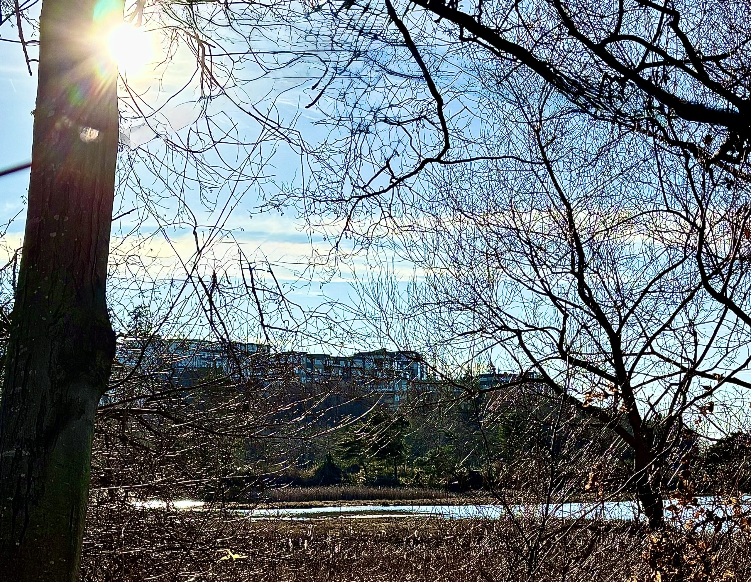 IMG_1310 - My Edmonds News