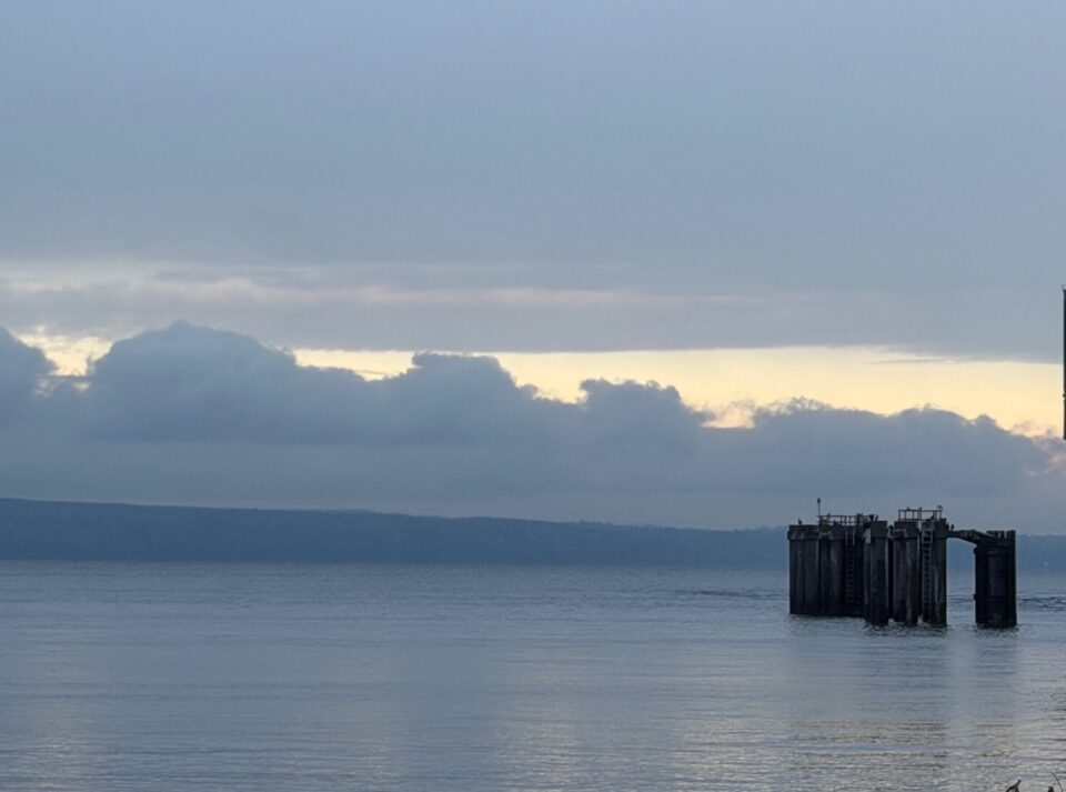 Scene in Edmonds: Around town - My Edmonds News