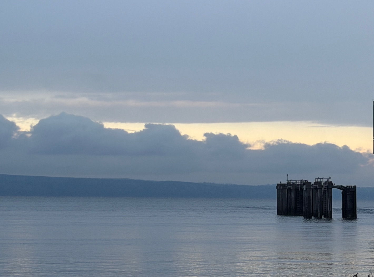 Scene in Edmonds: Around town - My Edmonds News