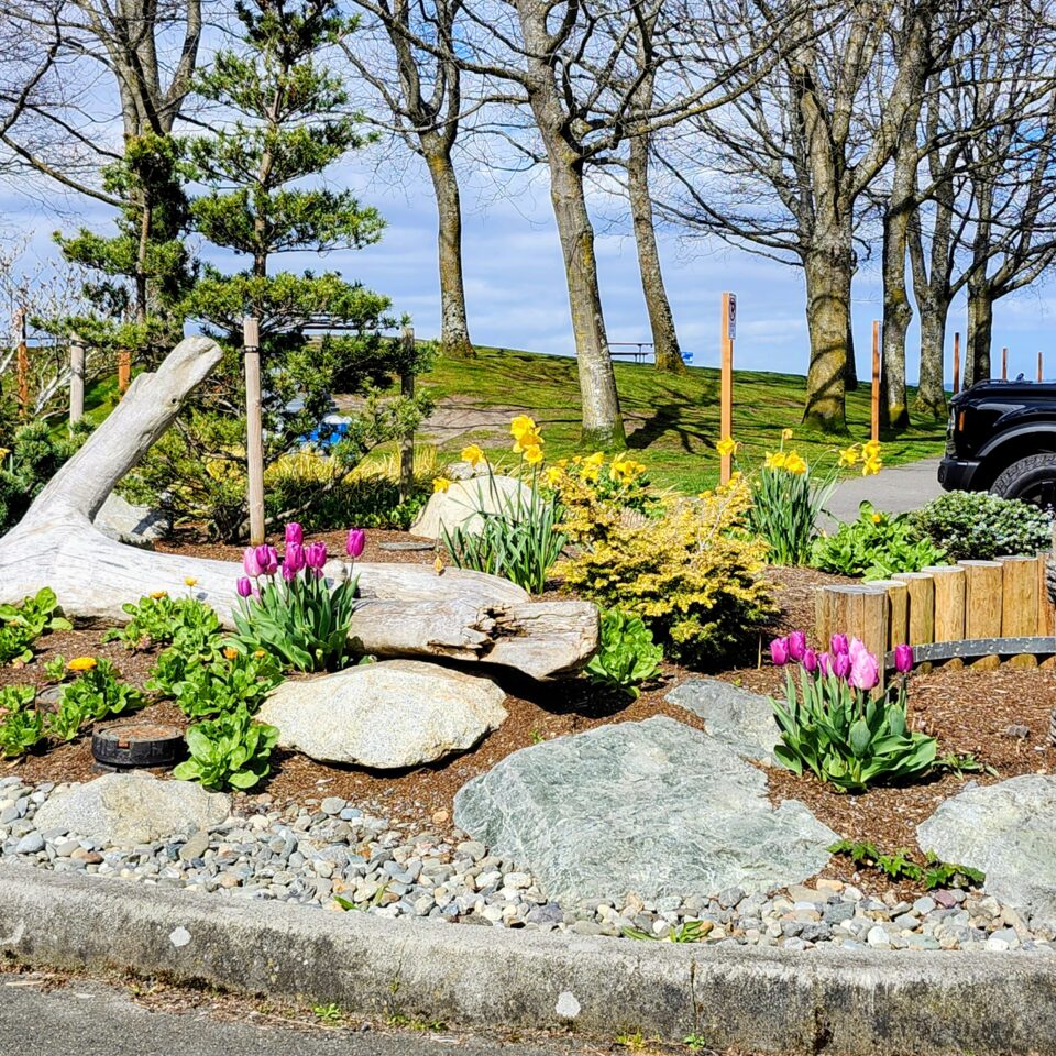 Scene in Edmonds: Around town Tuesday - My Edmonds News