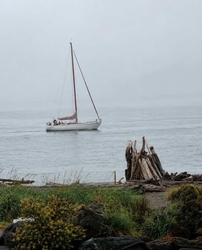 Scene in Edmonds: Around town - My Edmonds News
