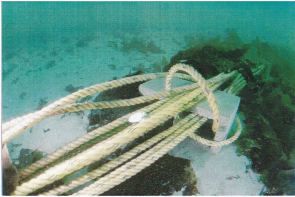 Edmonds Underwater: Building trails for people and sea creatures - My ...